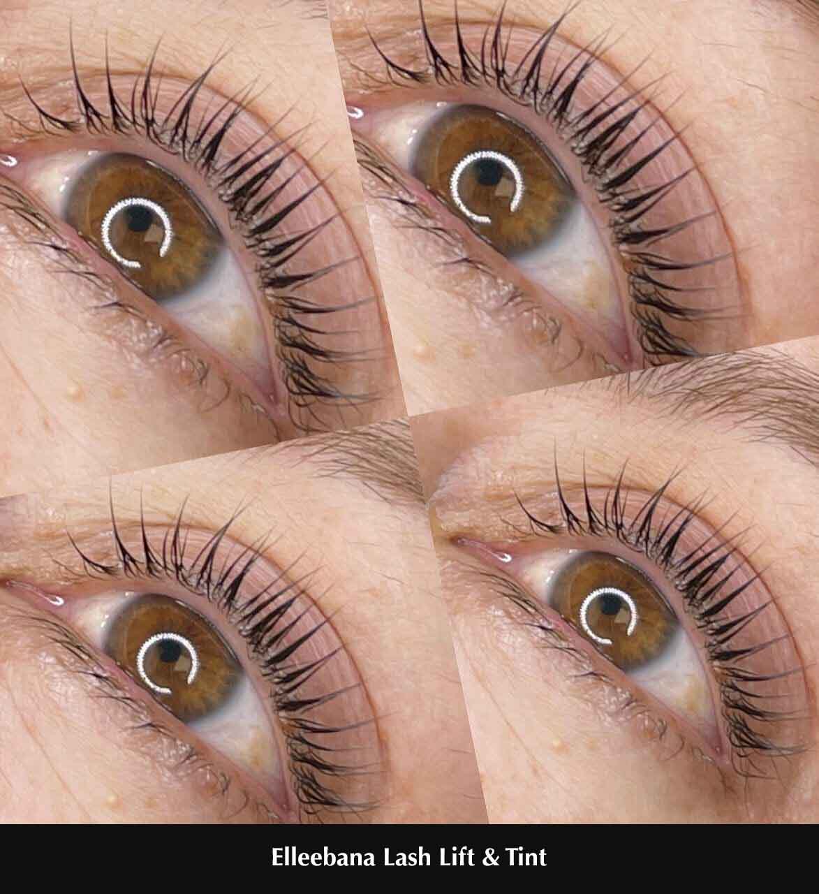 The Bella Brow Studio
